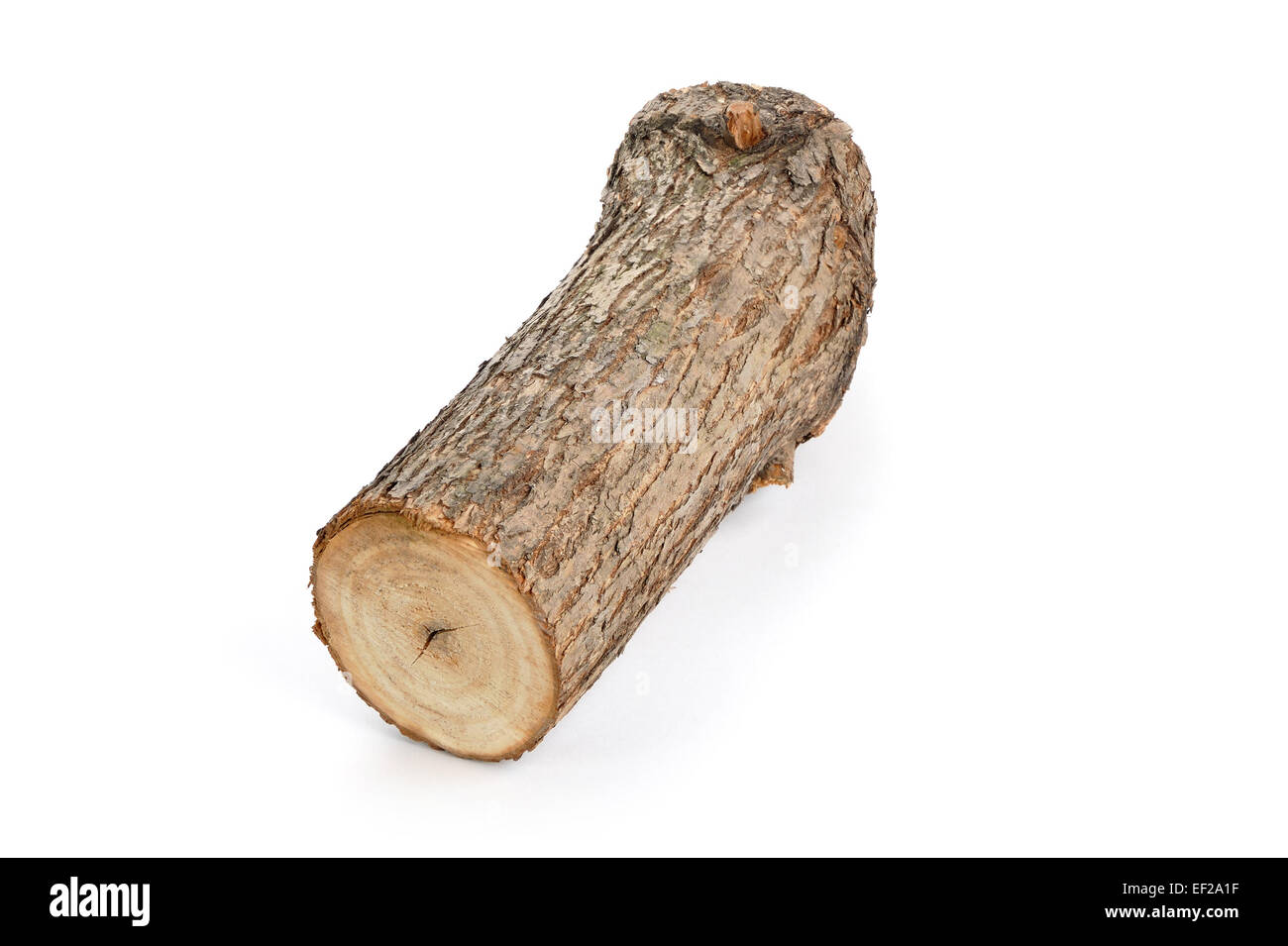 one willow log isolated over white background Stock Photo - Alamy
