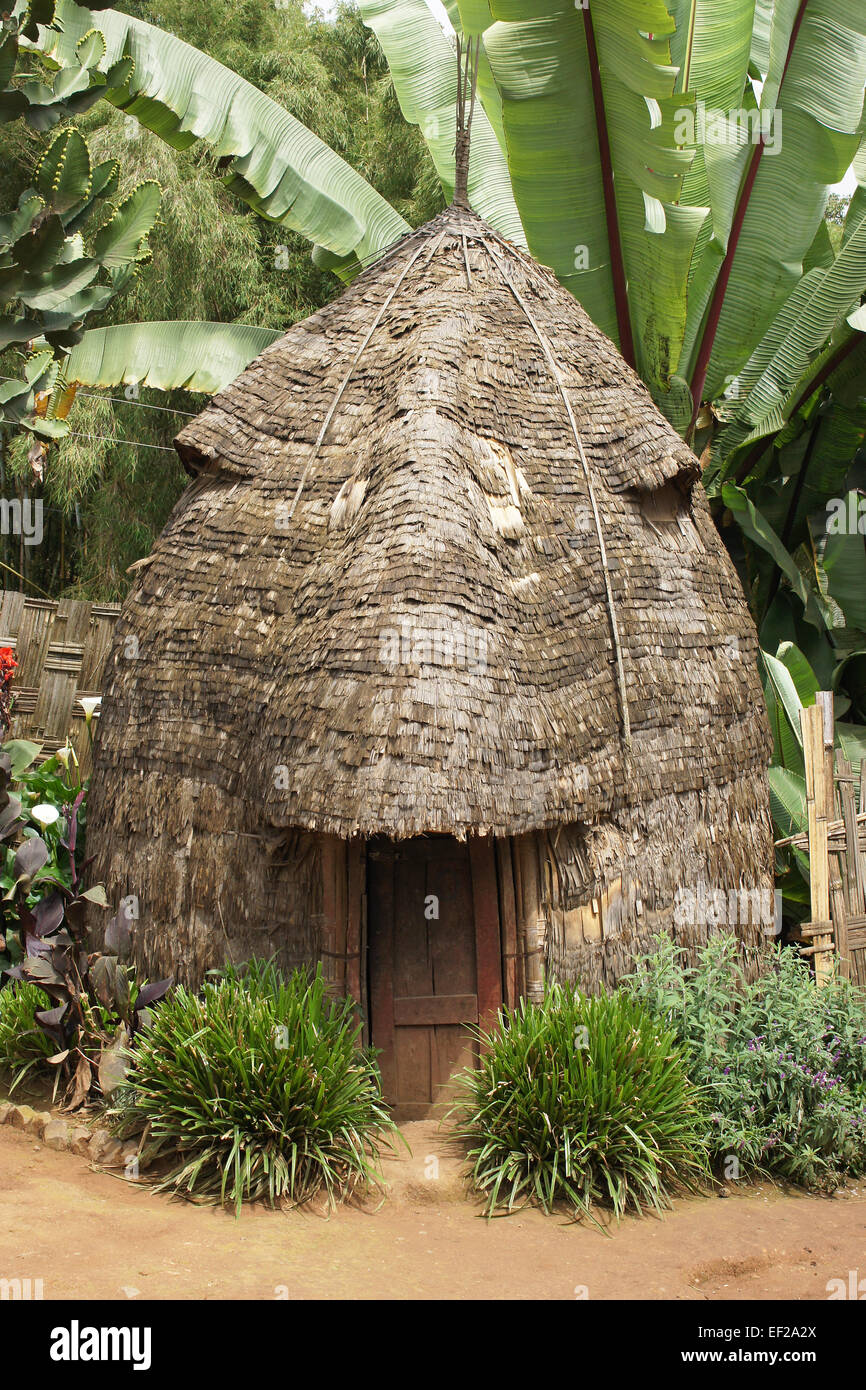 Traditional houses of Dorze people, Ethiopia, Africa Stock Photo - Alamy