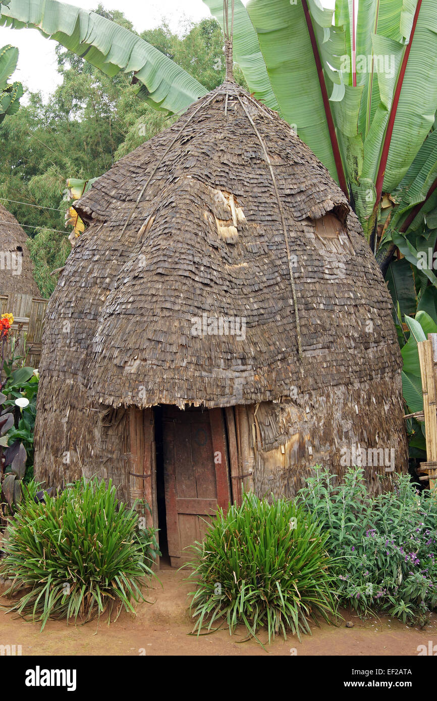Traditional houses of Dorze people, Ethiopia, Africa Stock Photo - Alamy