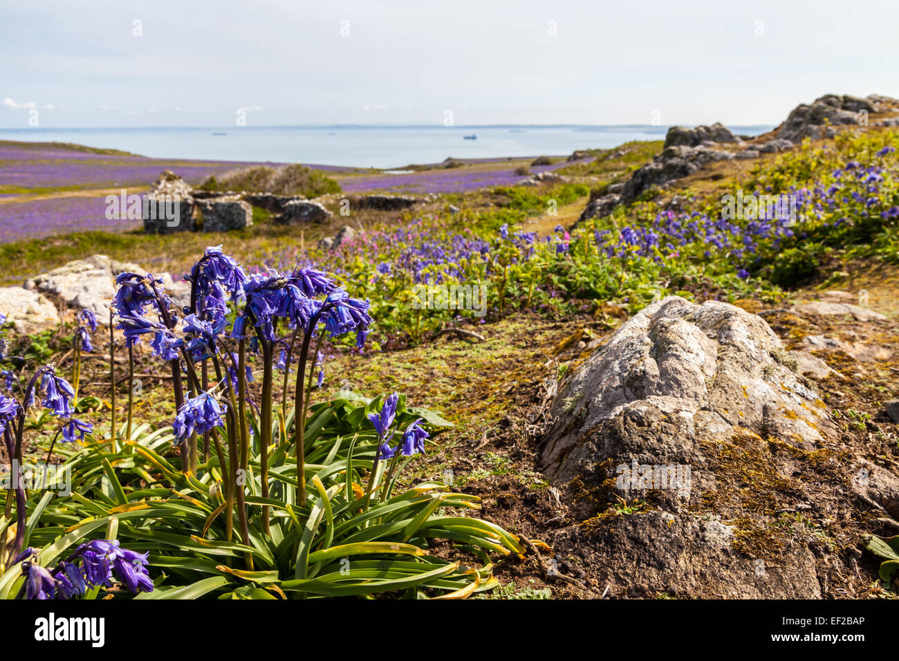 Boat to skomer hi-res stock photography and images - Alamy