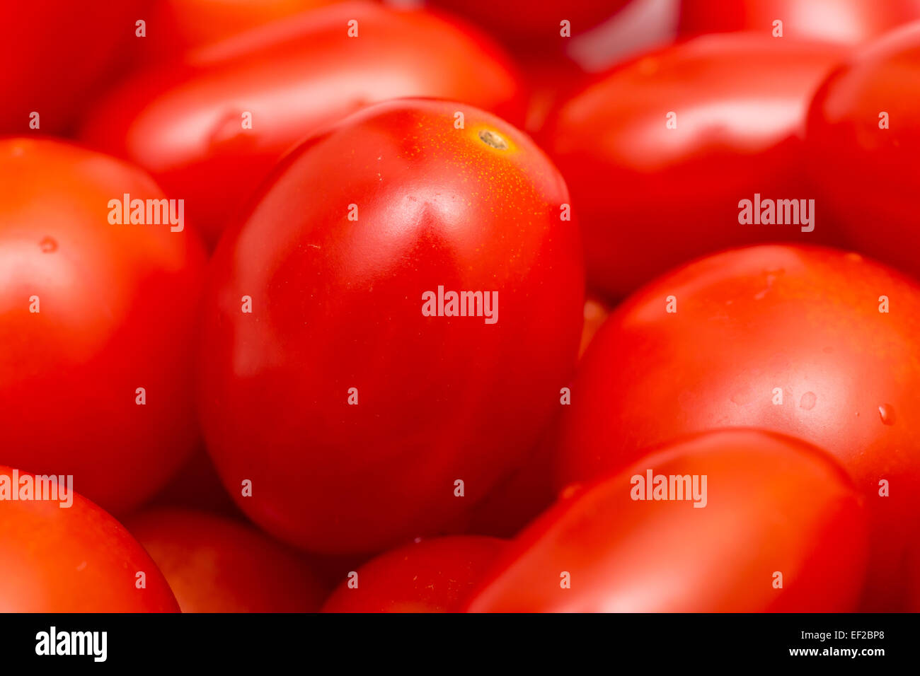 Macro photo red tomatoes hi-res stock photography and images - Alamy
