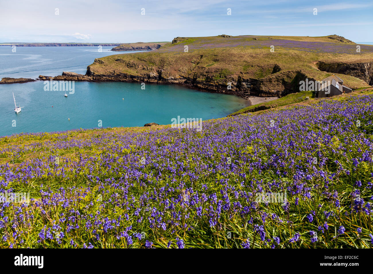Boat to skomer hi-res stock photography and images - Alamy