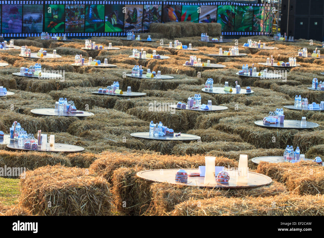 Ricestraw hi-res stock photography and images - Alamy