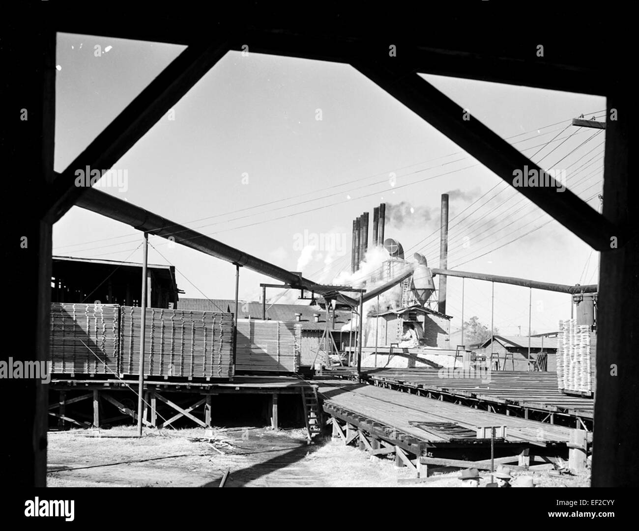 The lumber mill and yard of the Texas & Pacific Railway Company ...