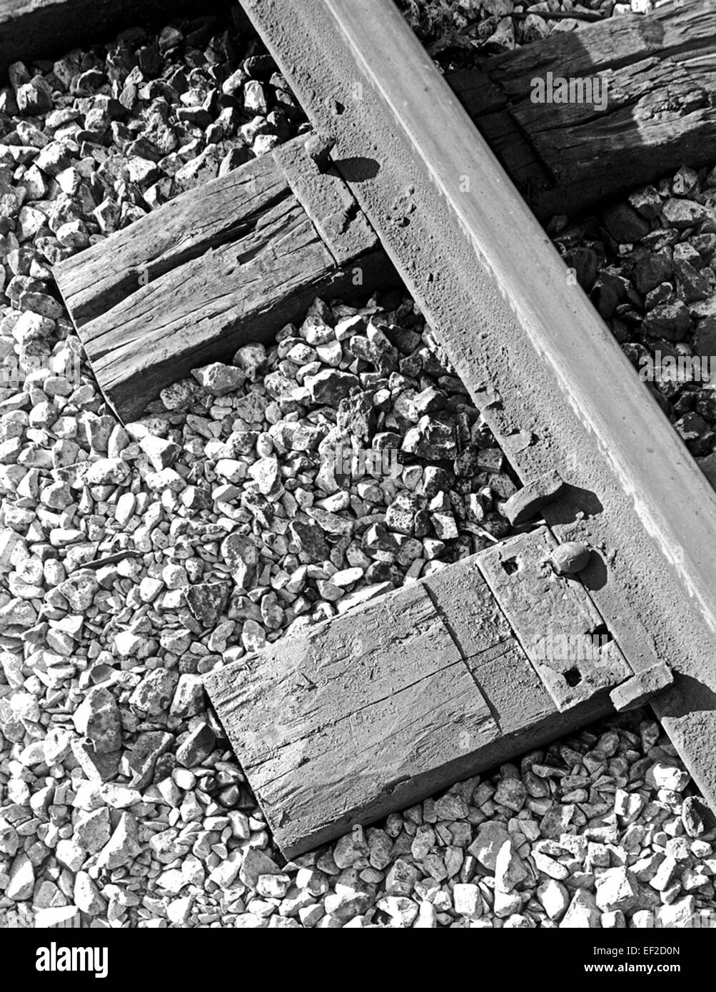This image showcases railroad track ties used by the Texas & Pacific ...