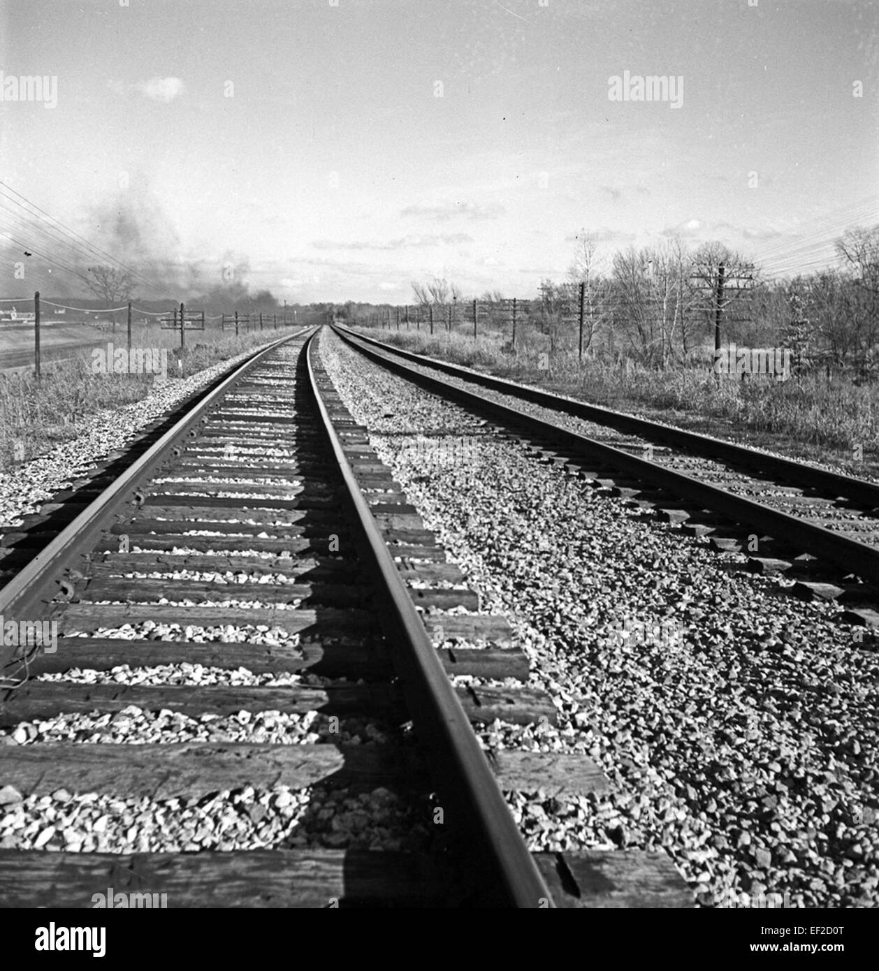 The photograph of railroad tracks from the Texas & Pacific Railway ...