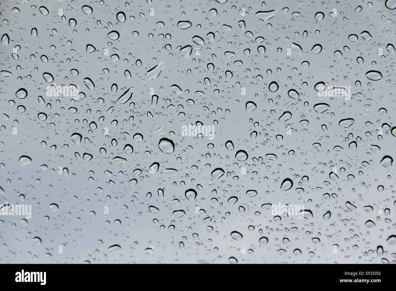 Water drops on transparent gray glass close up Stock Photo - Alamy