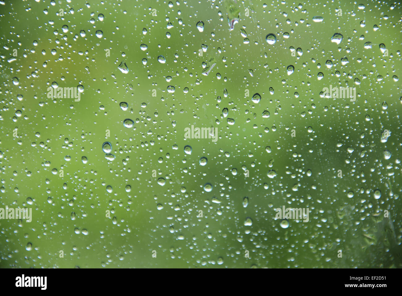Water drops on green transparent glass close up Stock Photo - Alamy