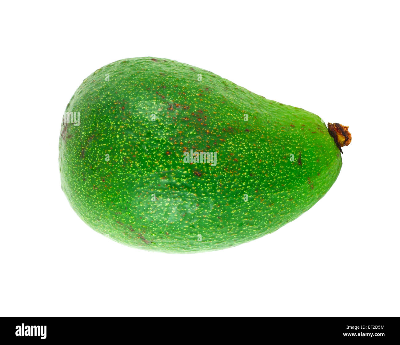 One avocado Cut Out Stock Images & Pictures - Alamy