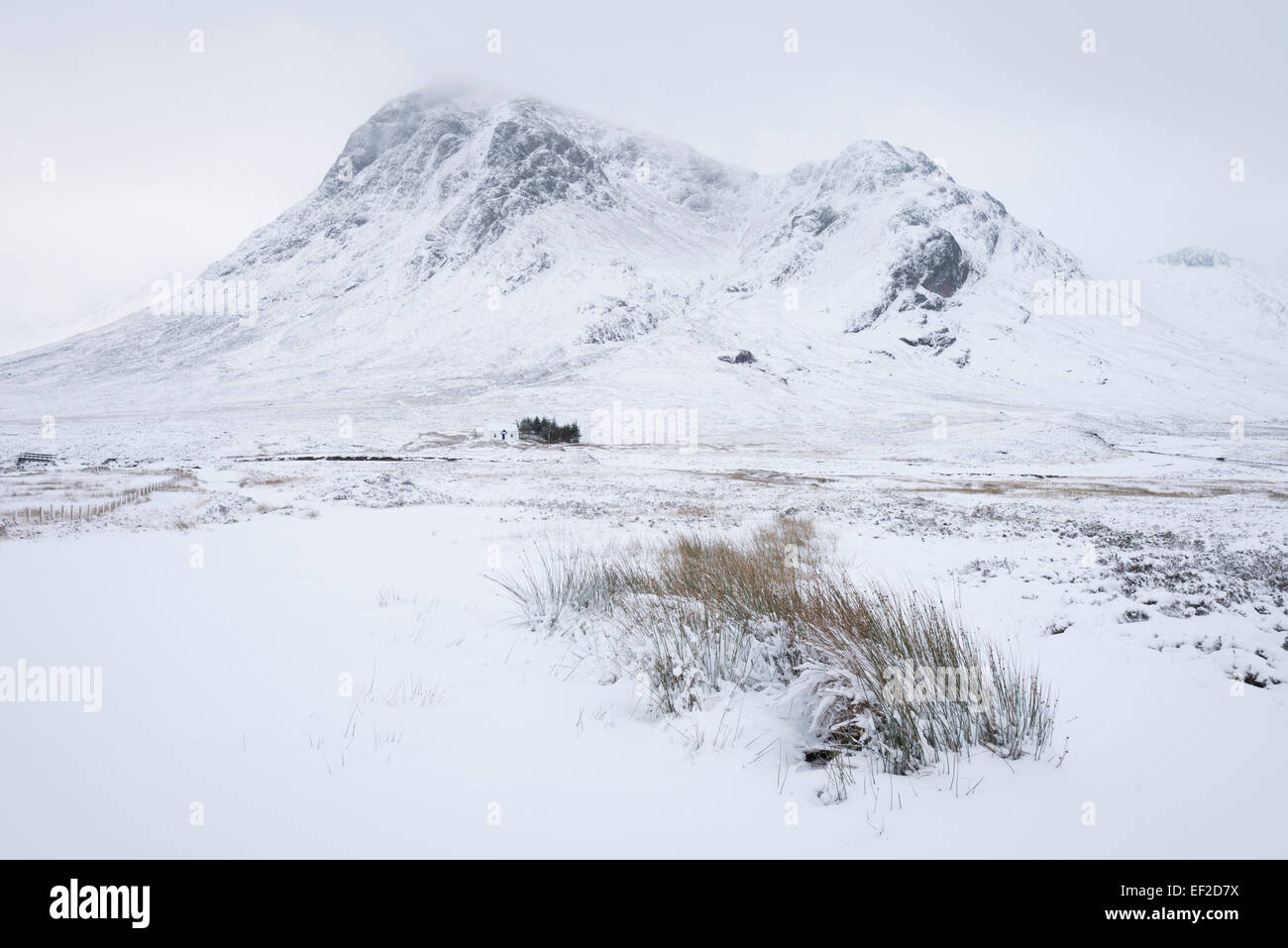 Buachaille Etive Mor from Altnafeadh, Glencoe, Scottish Highlands ...