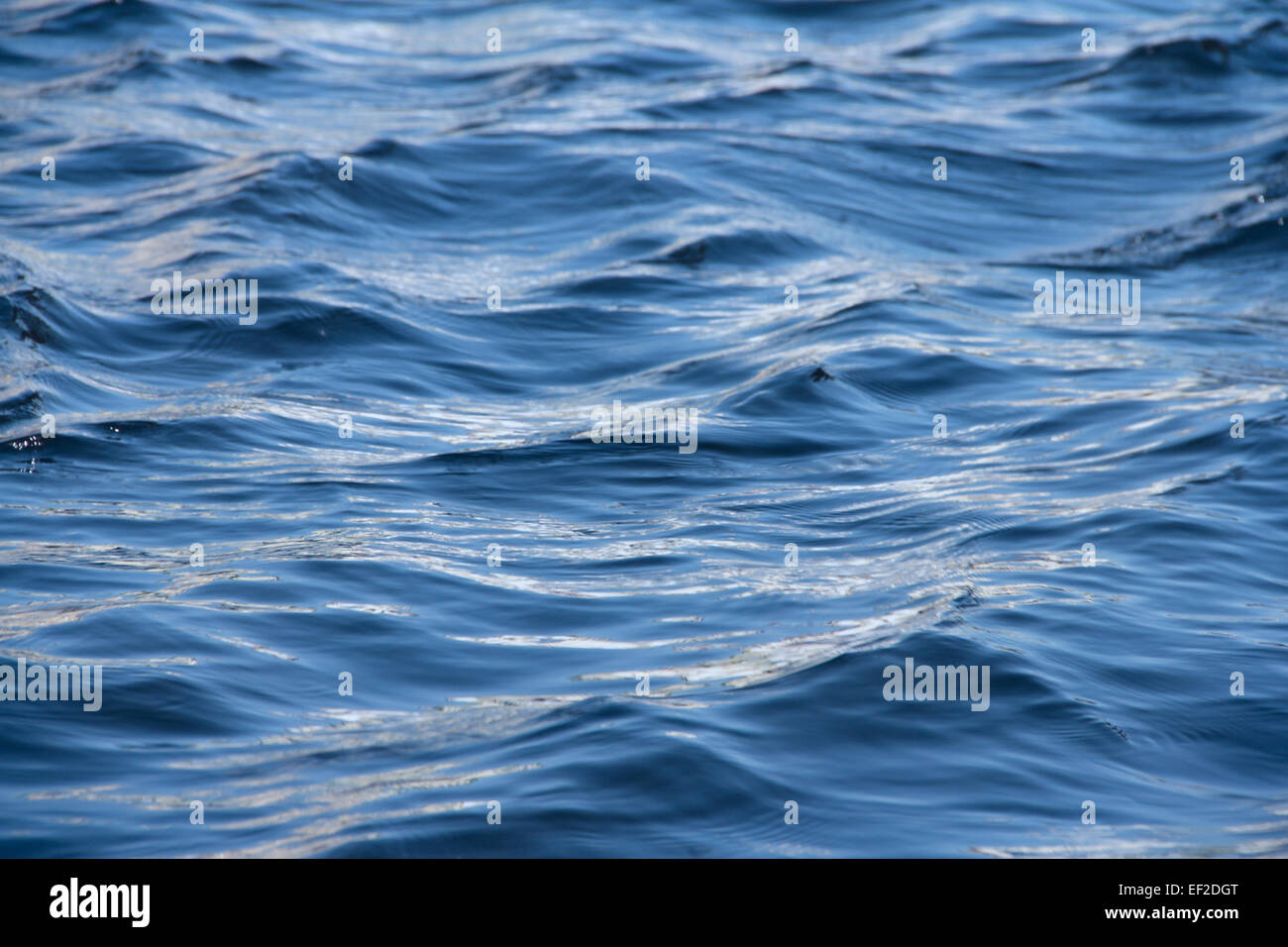 Ripple on the surface of the water close-up Stock Photo - Alamy