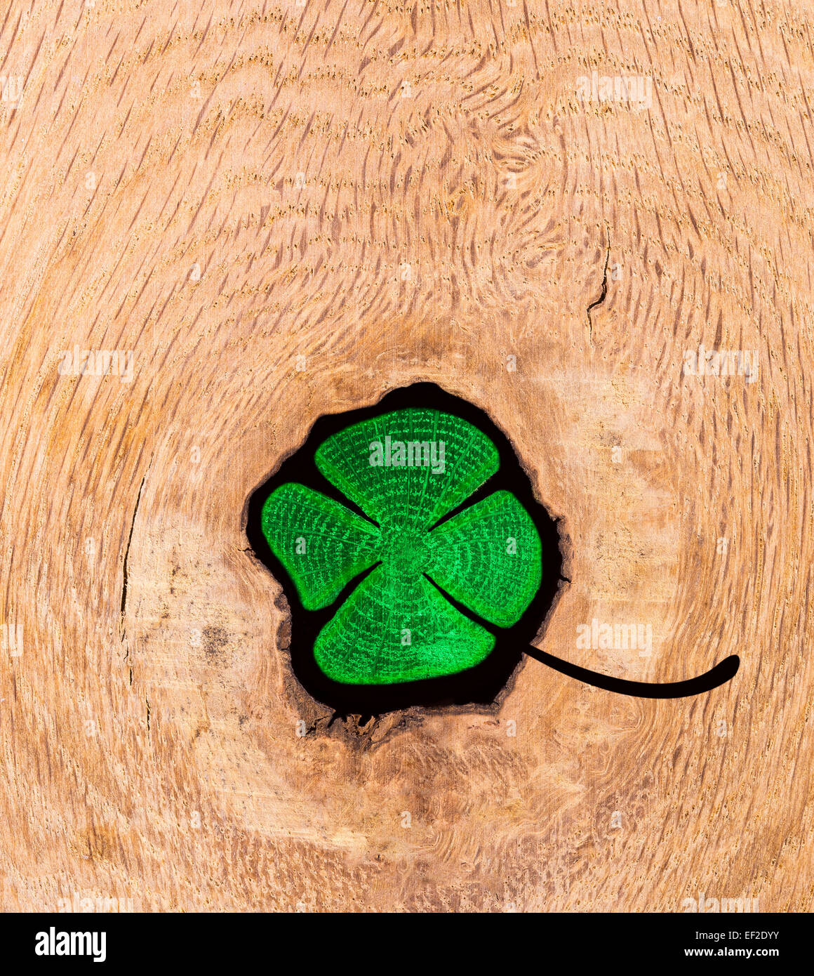 Luck flower in a wood hole, with texture Stock Photo - Alamy