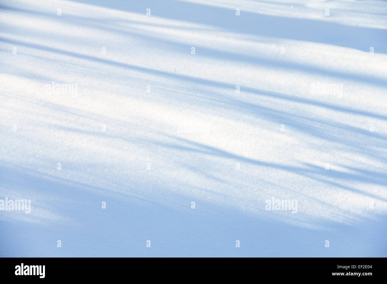 Snow texture with day blue shadows horizontal Stock Photo - Alamy