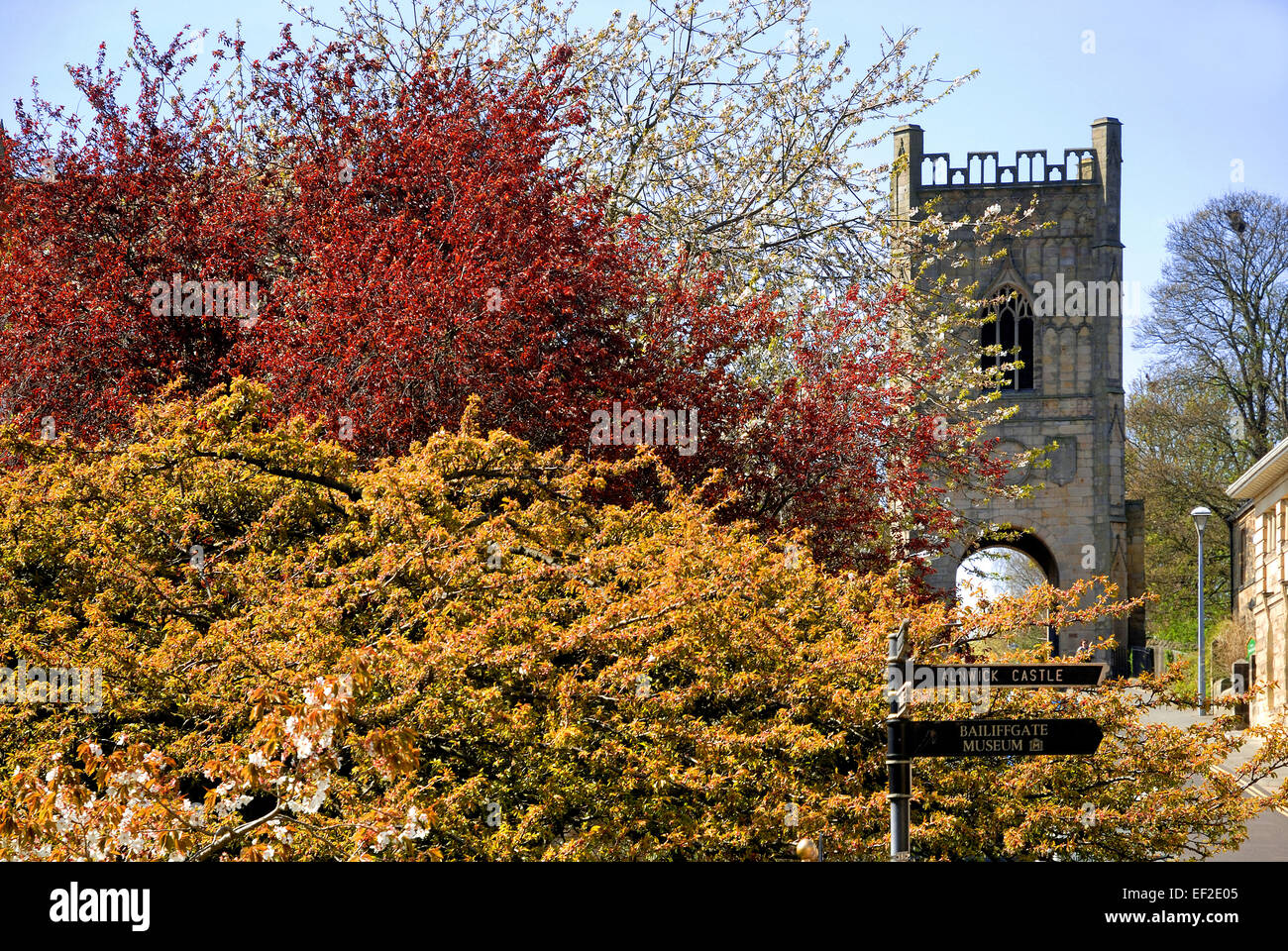 Pottergate arch hi-res stock photography and images - Alamy