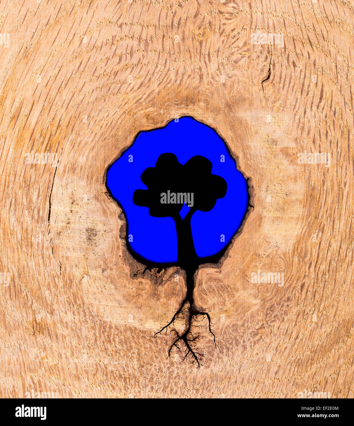 Tree in a tree, silhouette growing into a tree Stock Photo - Alamy