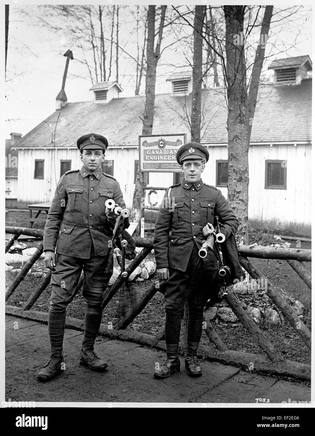 This image lacks a provided caption, making it challenging to determine ...