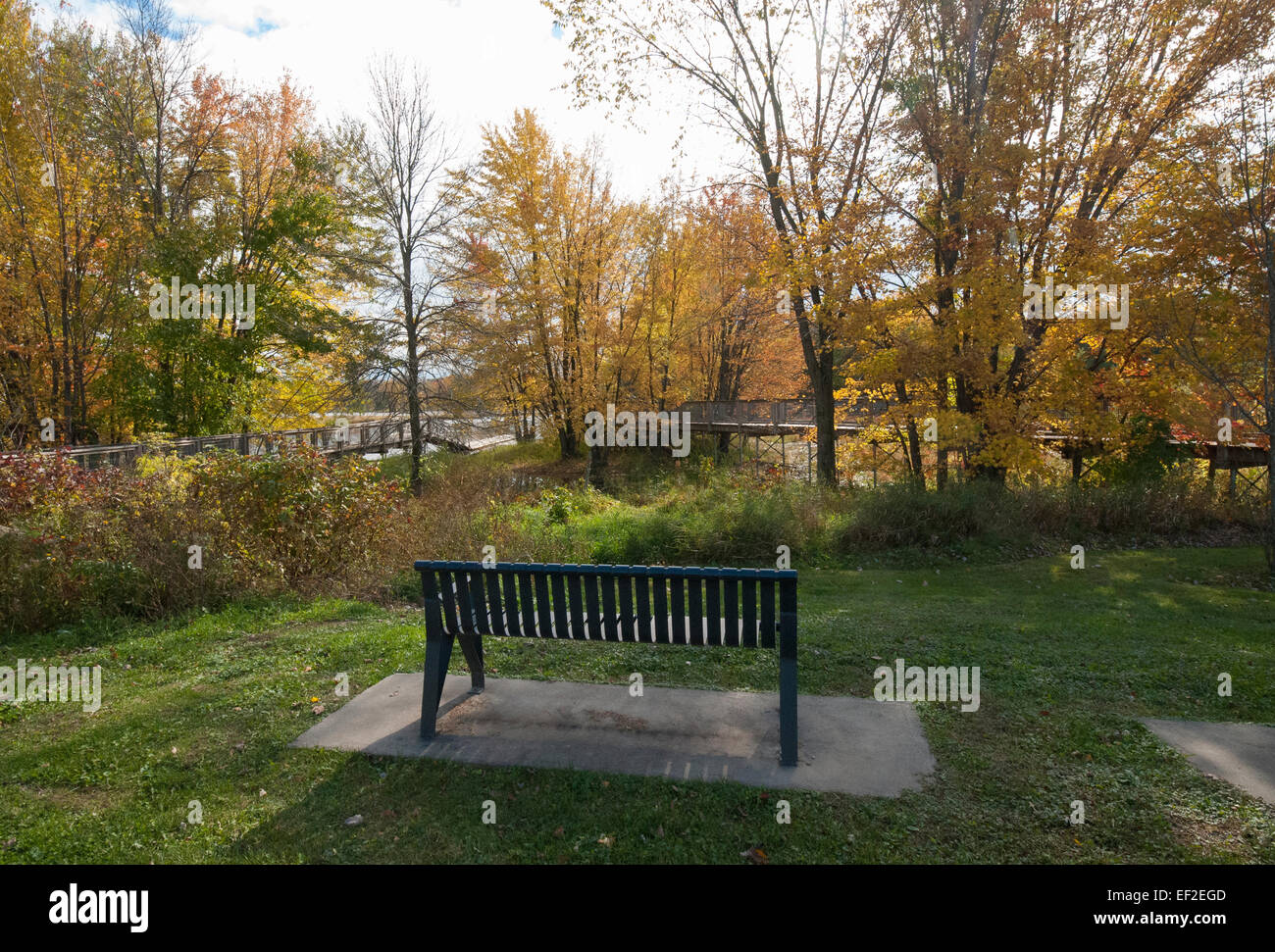 Benche in a park Stock Photo - Alamy