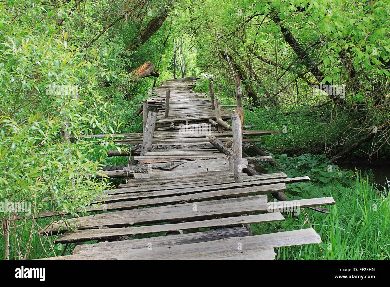 Broken wooden bridge hi-res stock photography and images - Alamy
