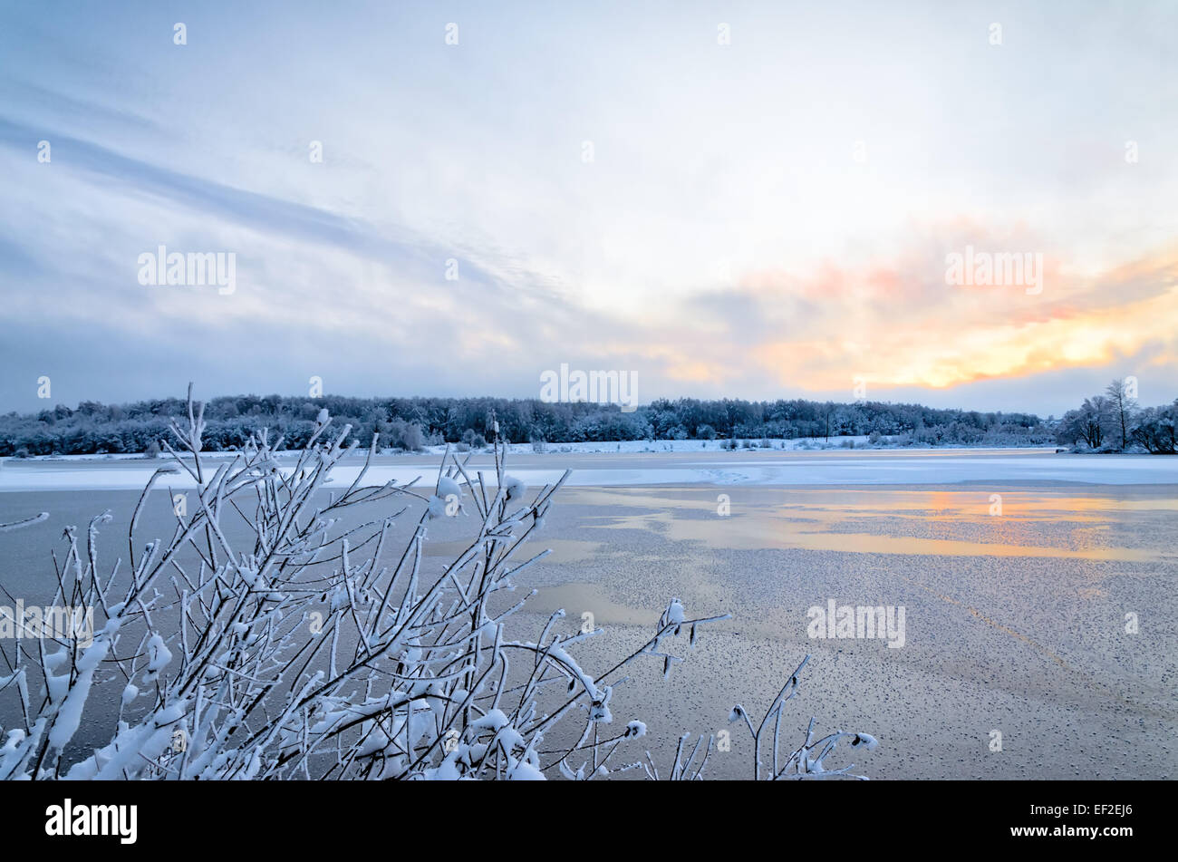 Winter evening landscape with a lake and trees in the frost Stock Photo ...