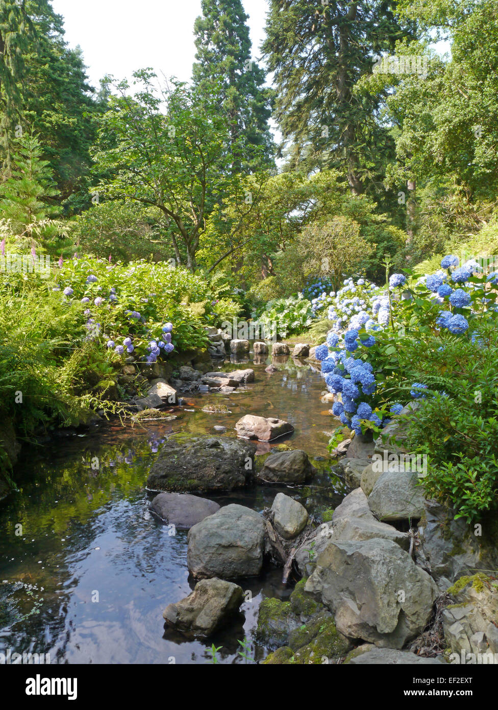 National trust bodnant garden hi-res stock photography and images - Alamy