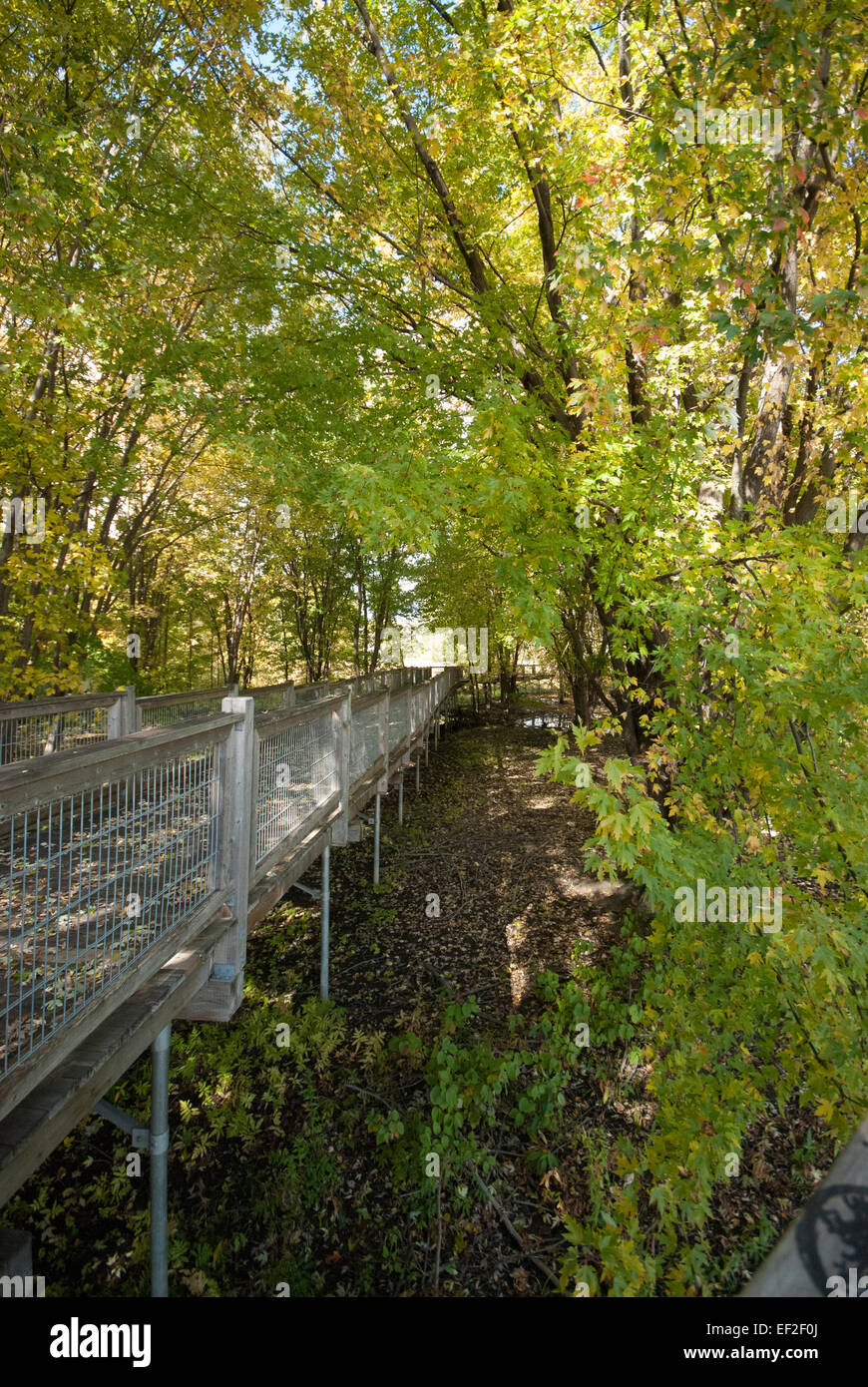 Walking path with marsh Stock Photo - Alamy