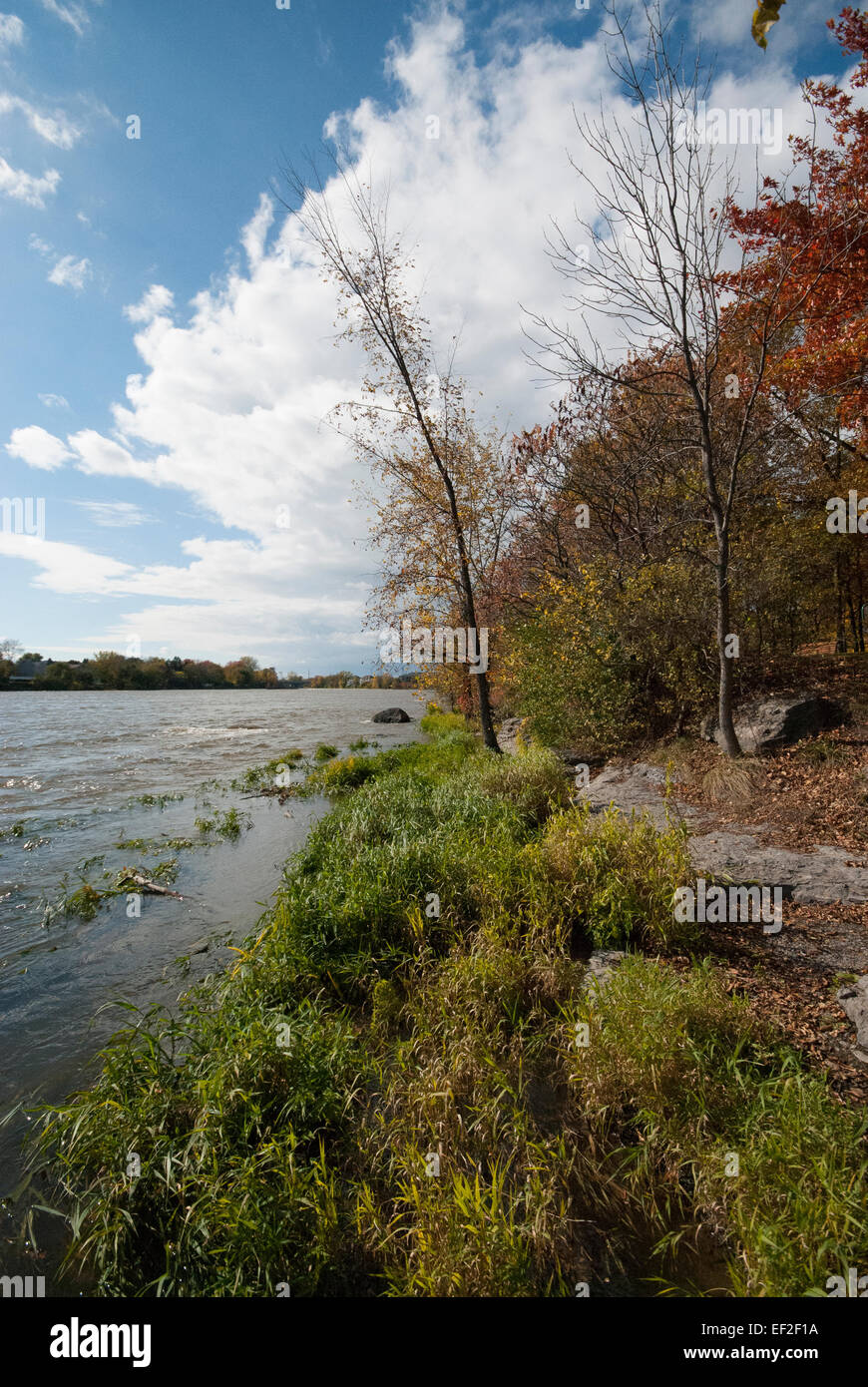 Trees and water in autumn Stock Photo - Alamy