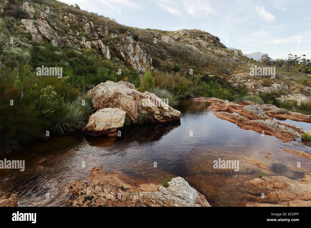 Rock pools at the Tulbagh waterfall Stock Photo - Alamy