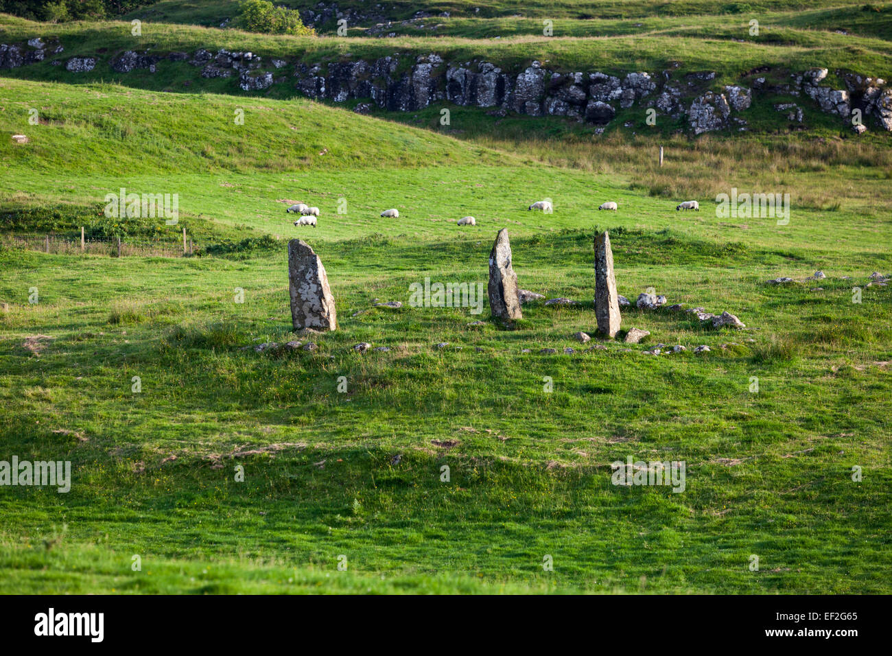 The ancient stone circle near Glengorm Castle in Tobermory, Isle of ...