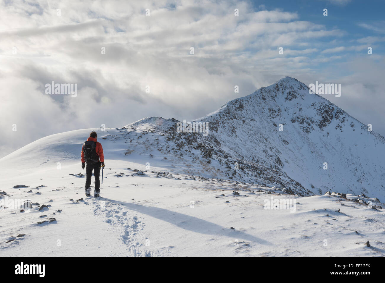 Walker on Buachaille Etive BEag heading towards Stob Dubh, Glencoe ...