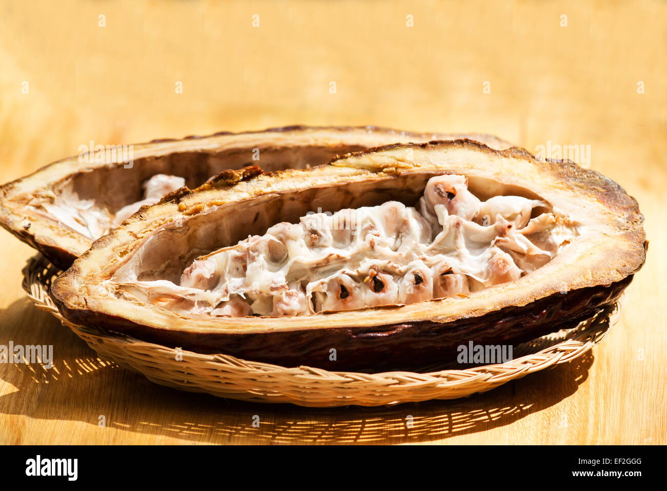 Theobroma cacao pod opened in halves on wooden background Stock Photo ...