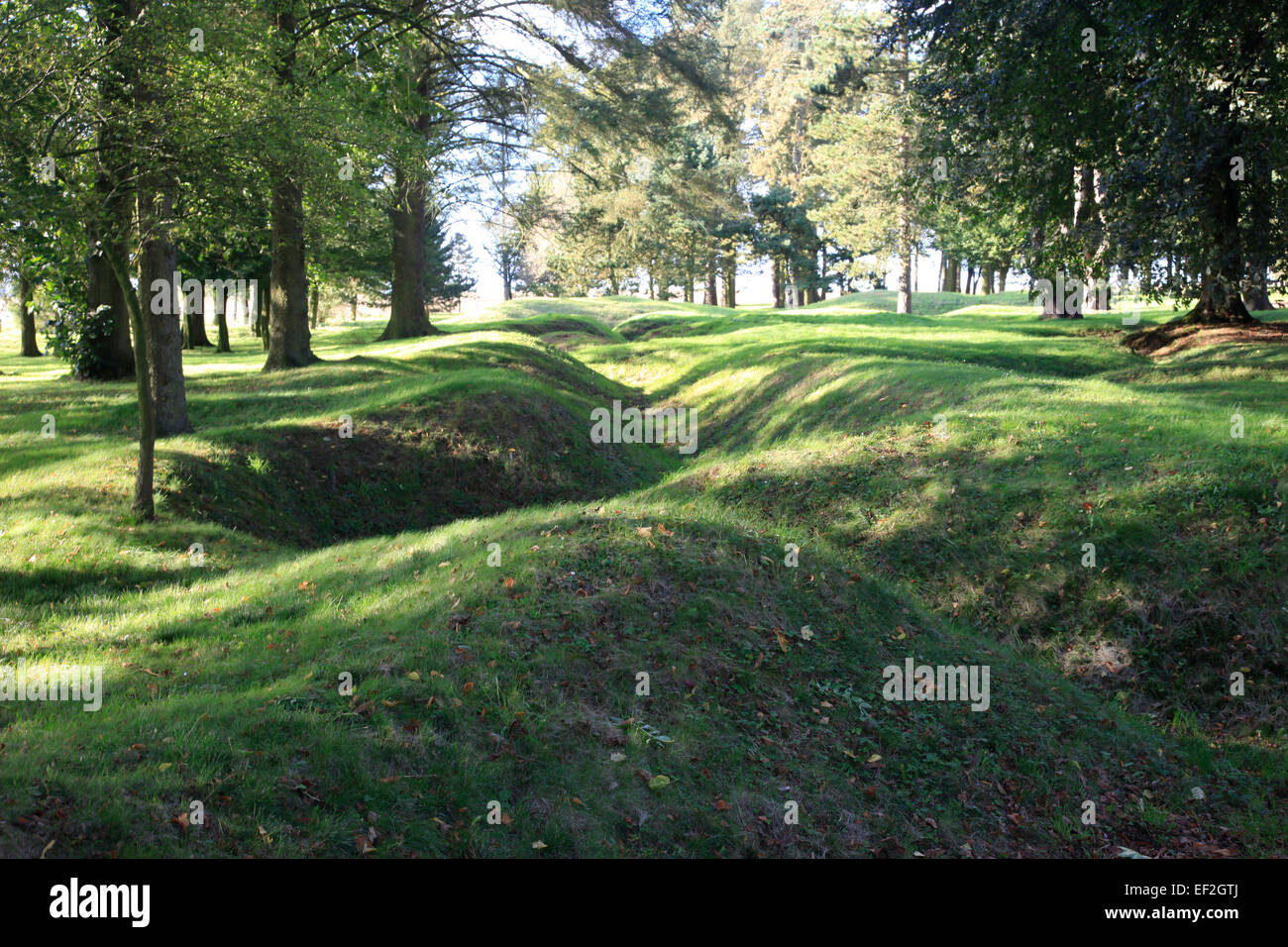 WWI trenches in Europe Stock Photo - Alamy