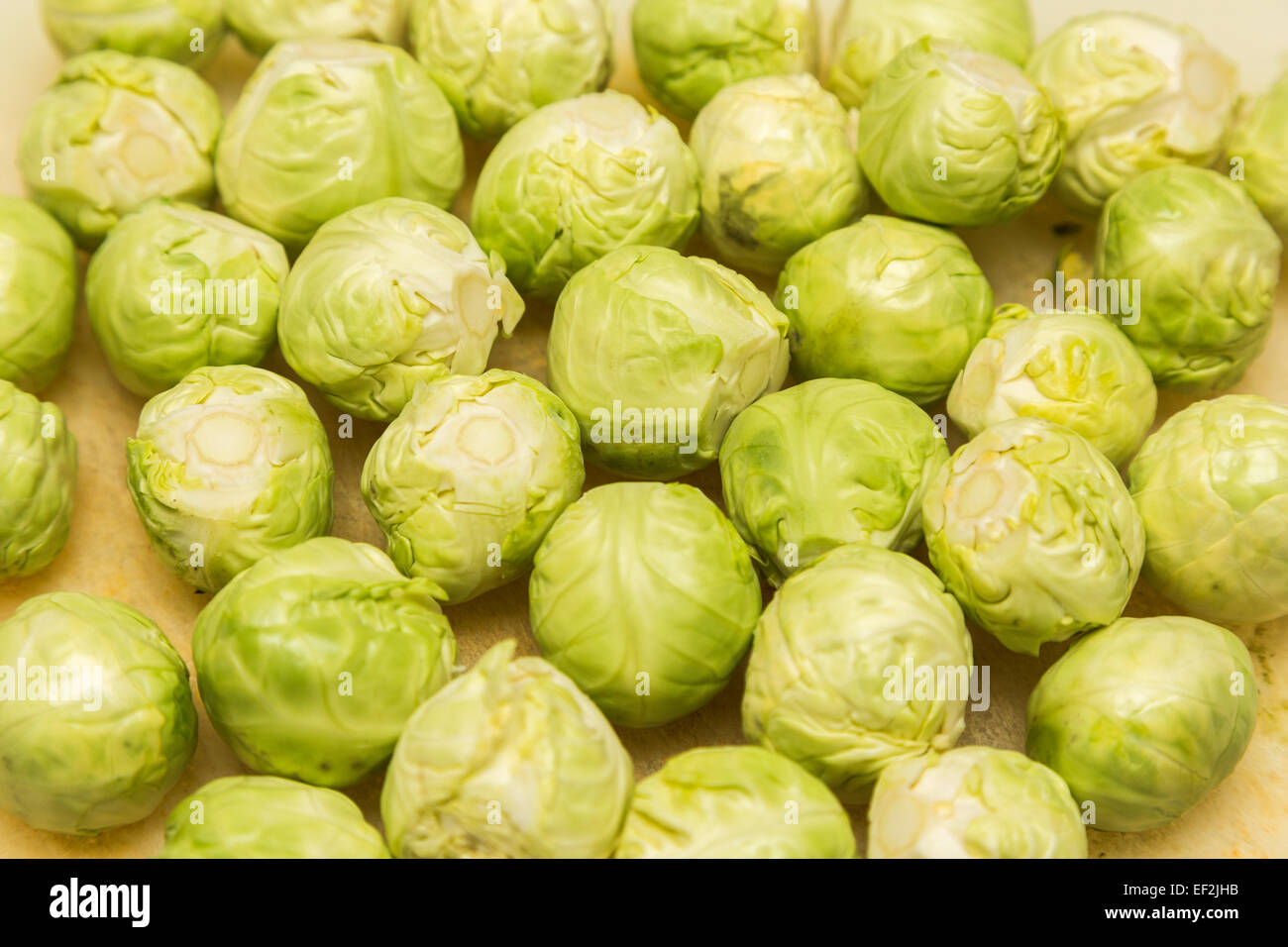 Peeled, prepared, raw Brussels sprouts (Brassica oleracea Stock Photo ...