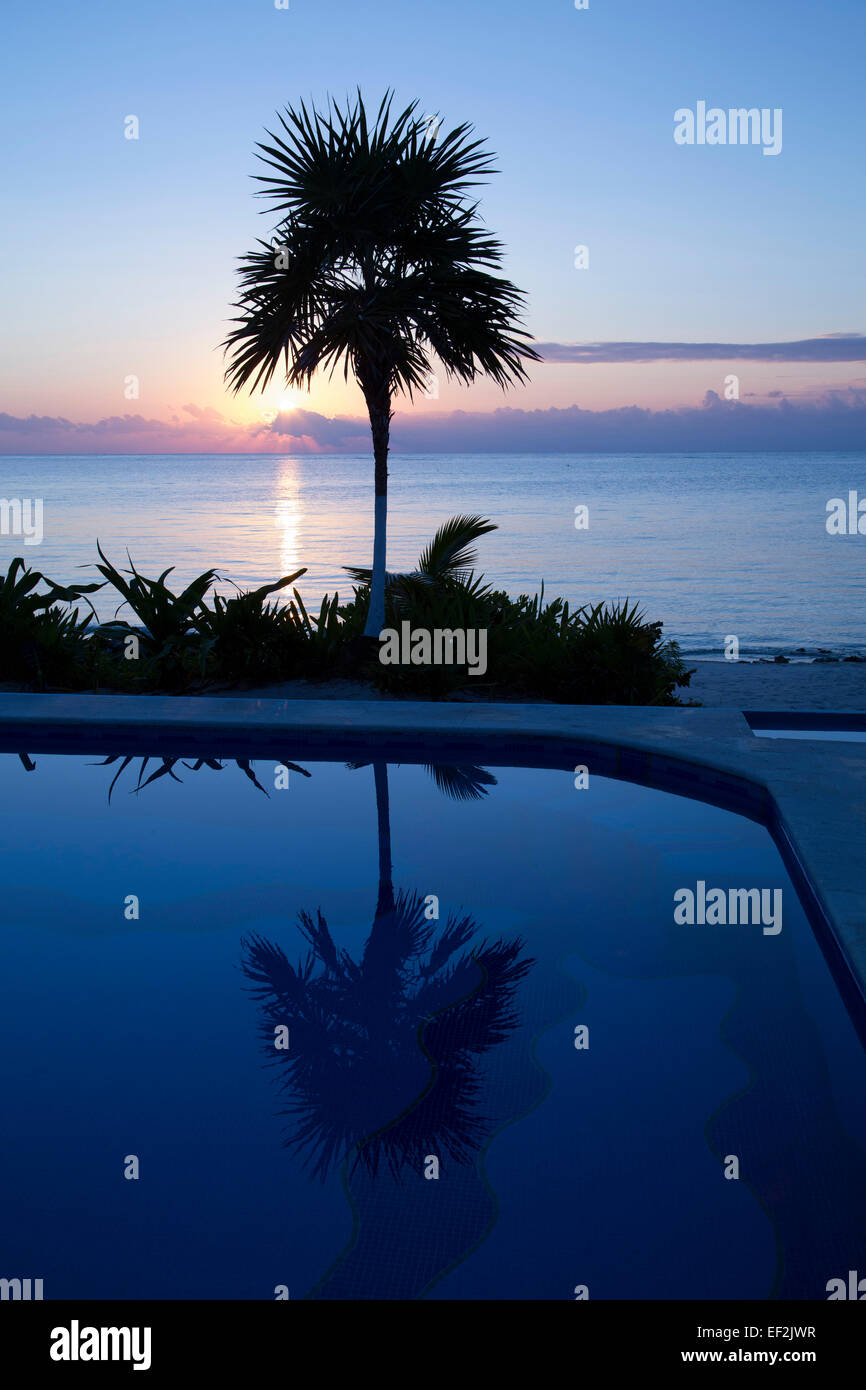 Quintana roo mexico palm trees hi-res stock photography and images - Alamy