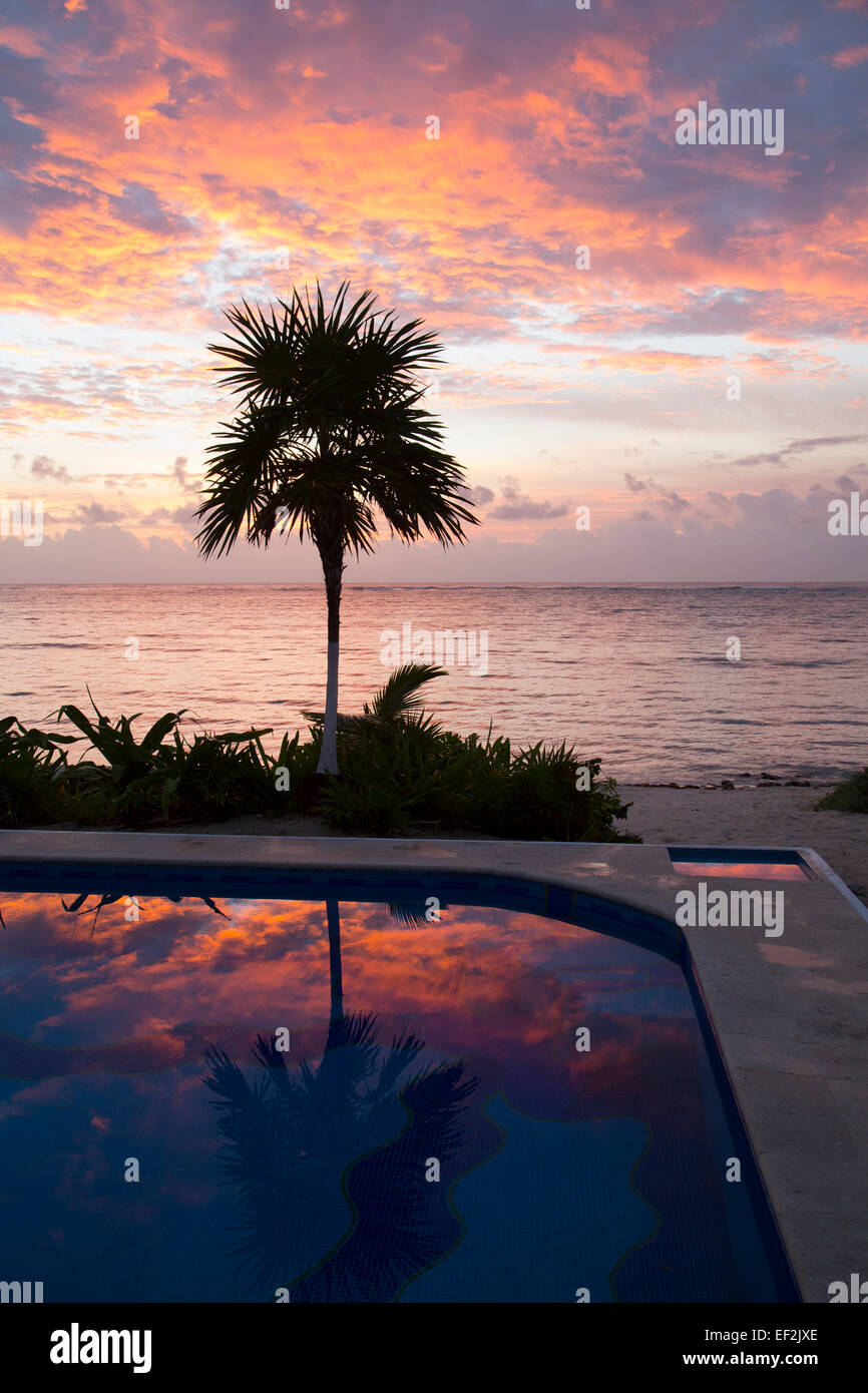 Quintana roo mexico palm trees hi-res stock photography and images - Alamy