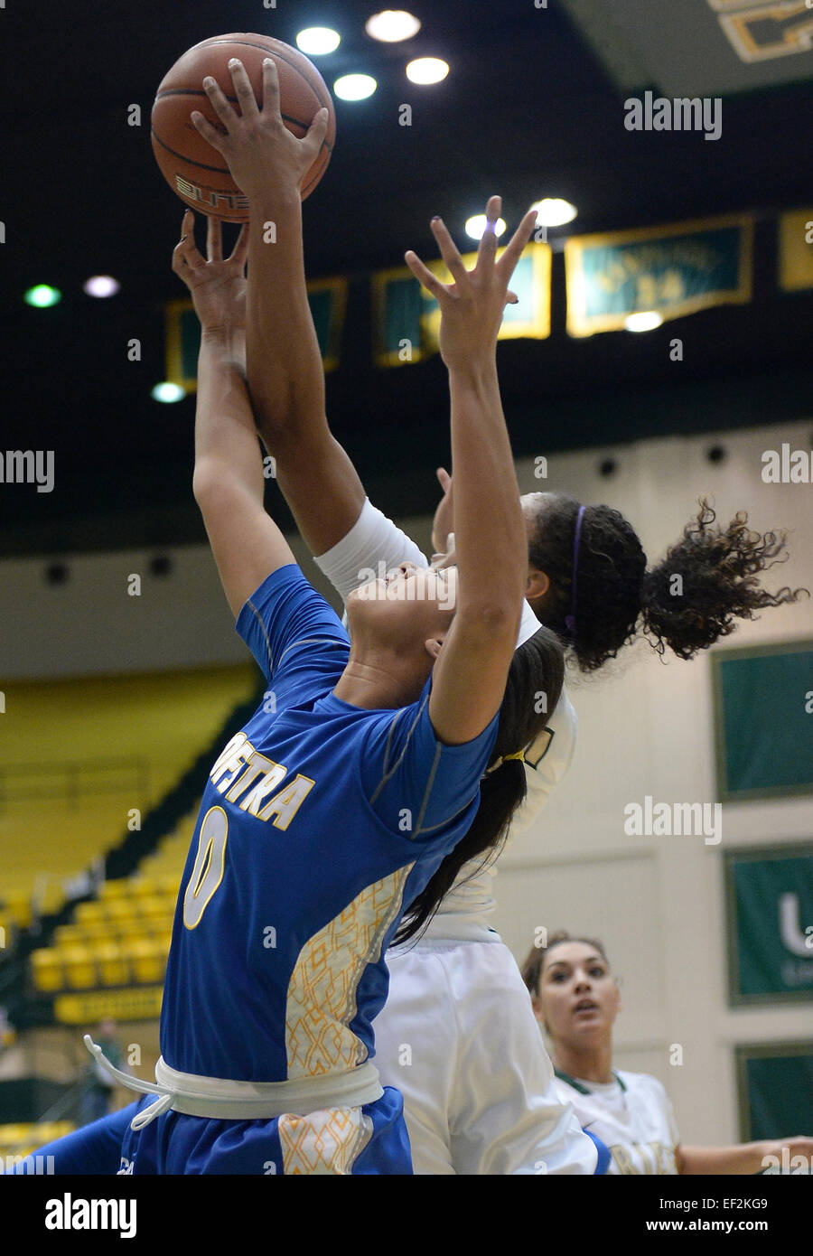Williamsburg, VA, USA. 25th Jan, 2015. 20150125 - Hofstra guard Kelly ...