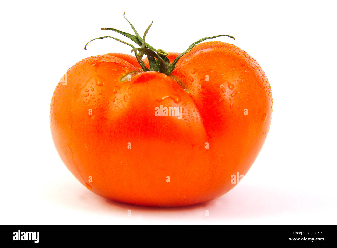 Closeup of single tomato on white background Stock Photo - Alamy