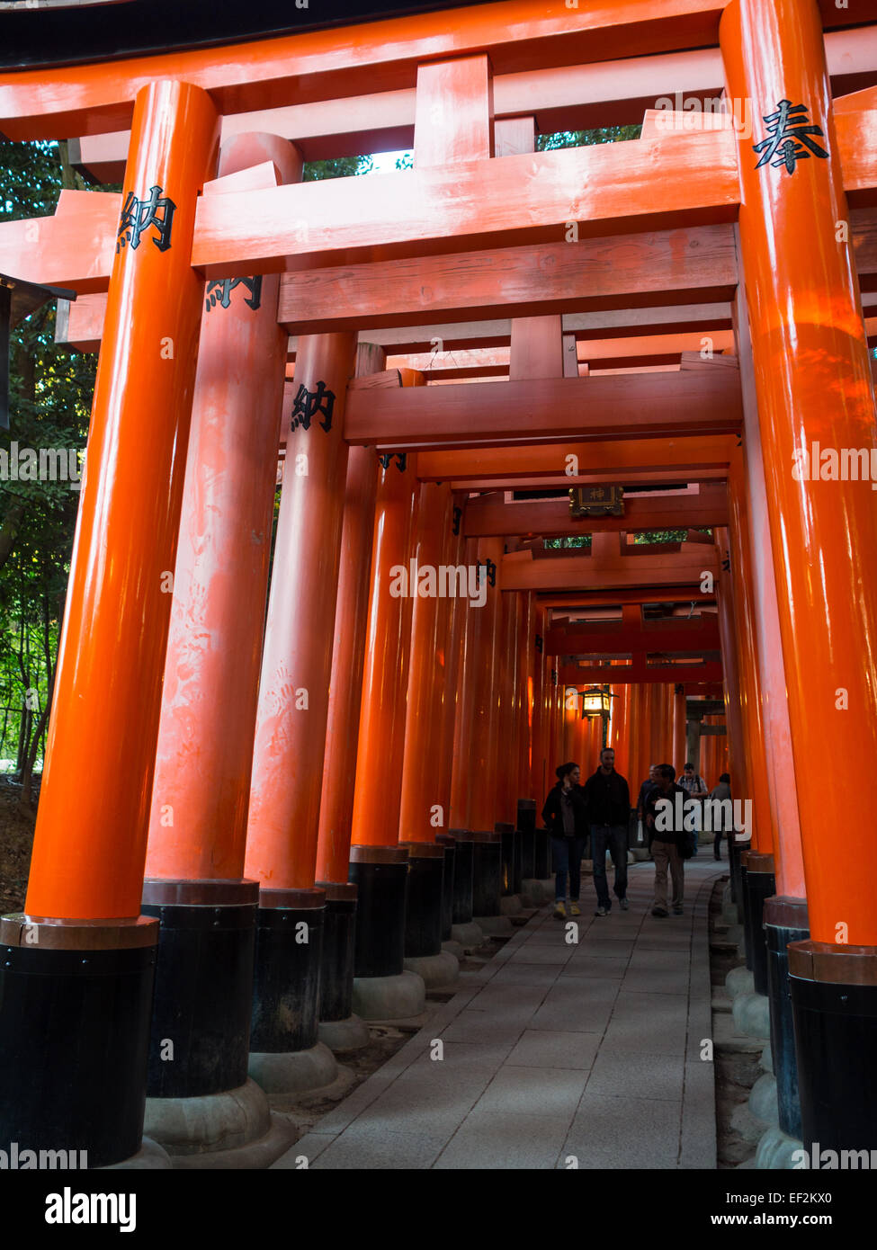 Fushimi-Inari-Taisha temple red tori tunnel Stock Photo - Alamy