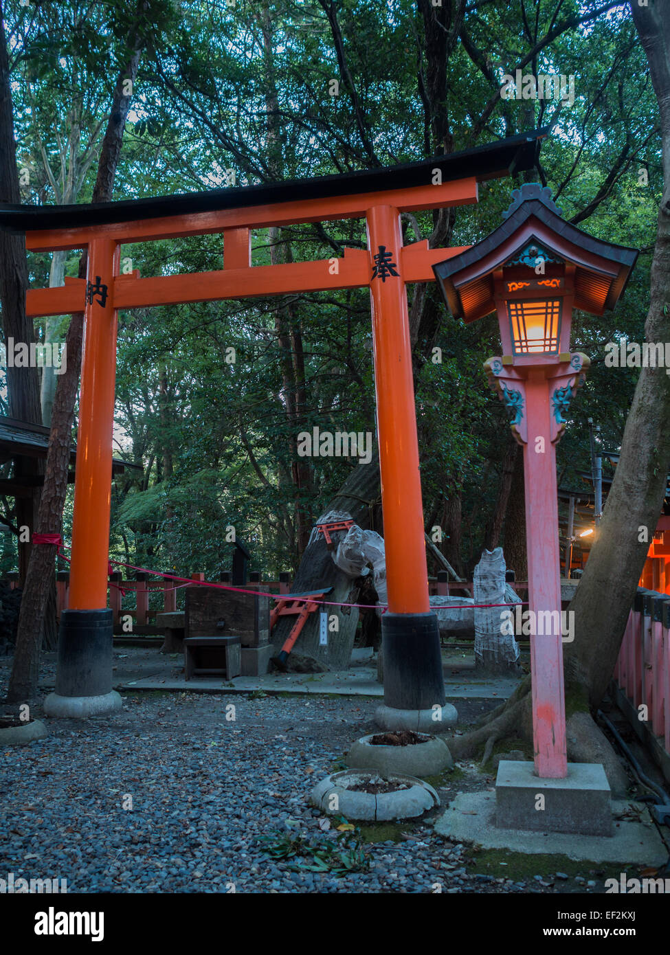 Fushimi inari forest hi-res stock photography and images - Alamy