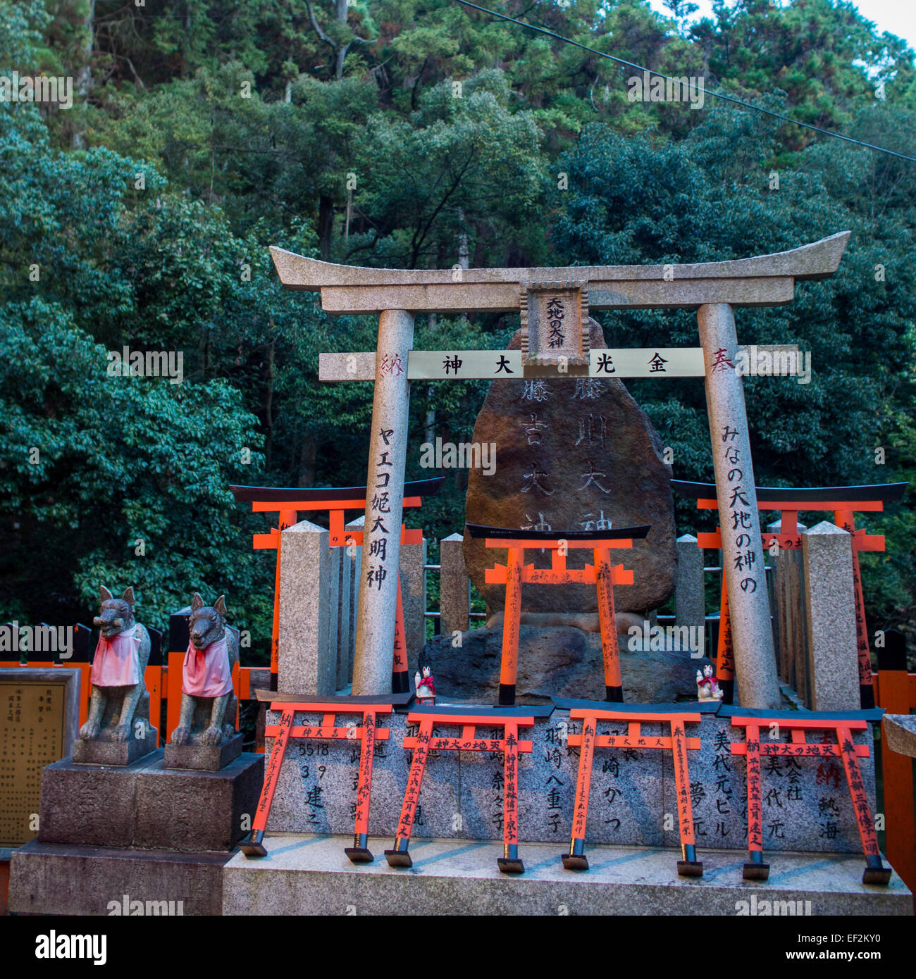 Tori gate in the woods at Fushimi-Inari-Taisha temple Stock Photo - Alamy