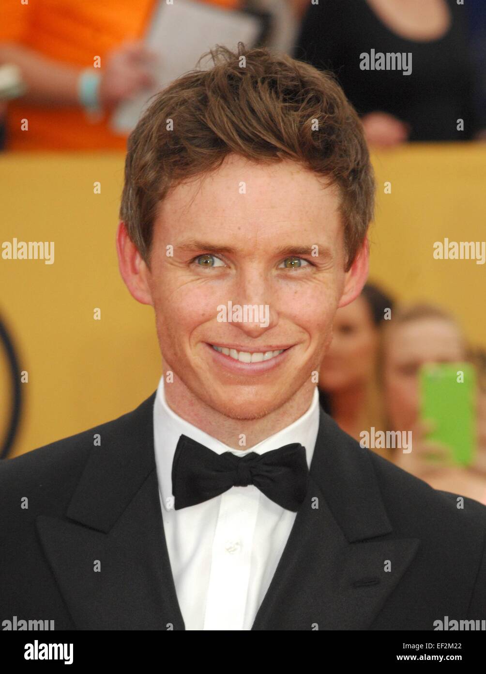 Los Angeles, CA, USA. 25th Jan, 2015. Eddie Redmayne at arrivals for ...