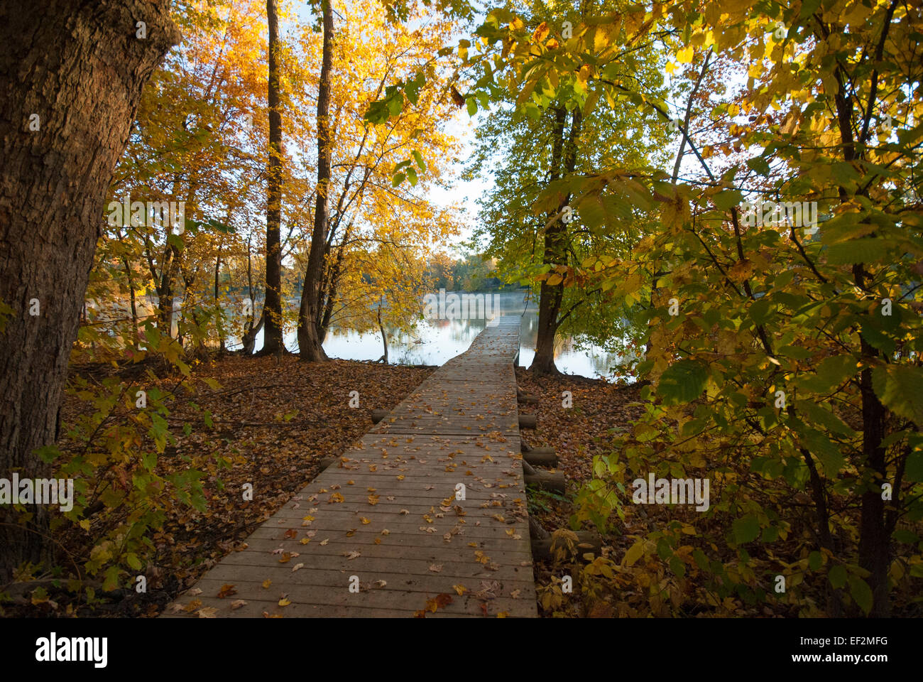 Walking path with trees and water in autum Stock Photo - Alamy