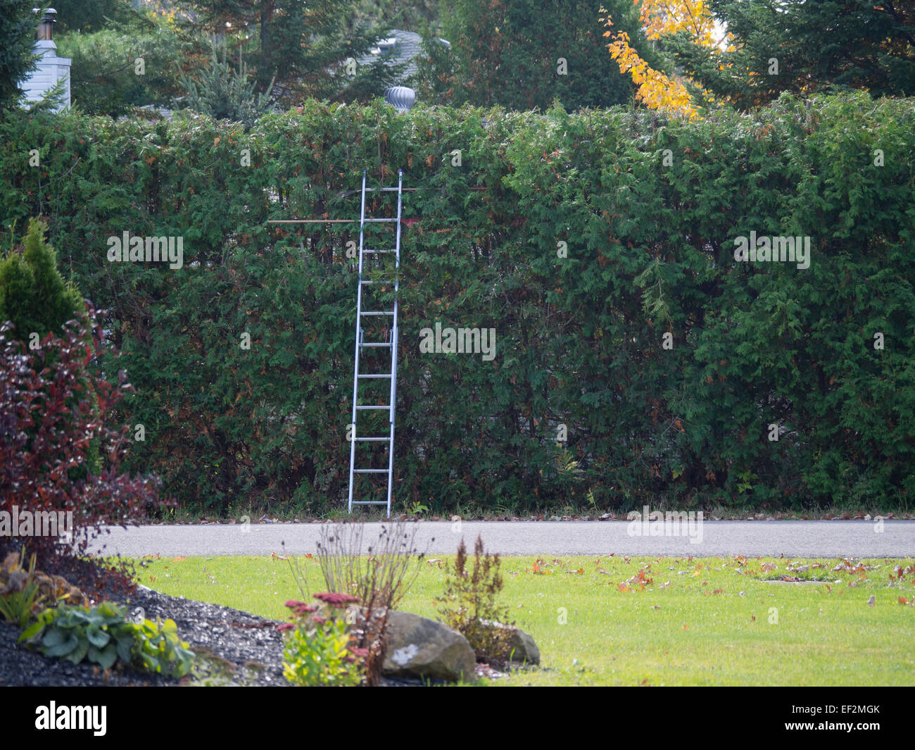 Ladder Dangerous High Resolution Stock Photography and Images - Alamy