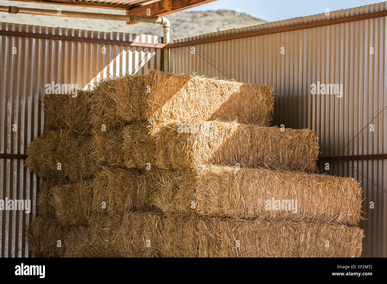 Stacked bales of hay in a shed Stock Photo - Alamy