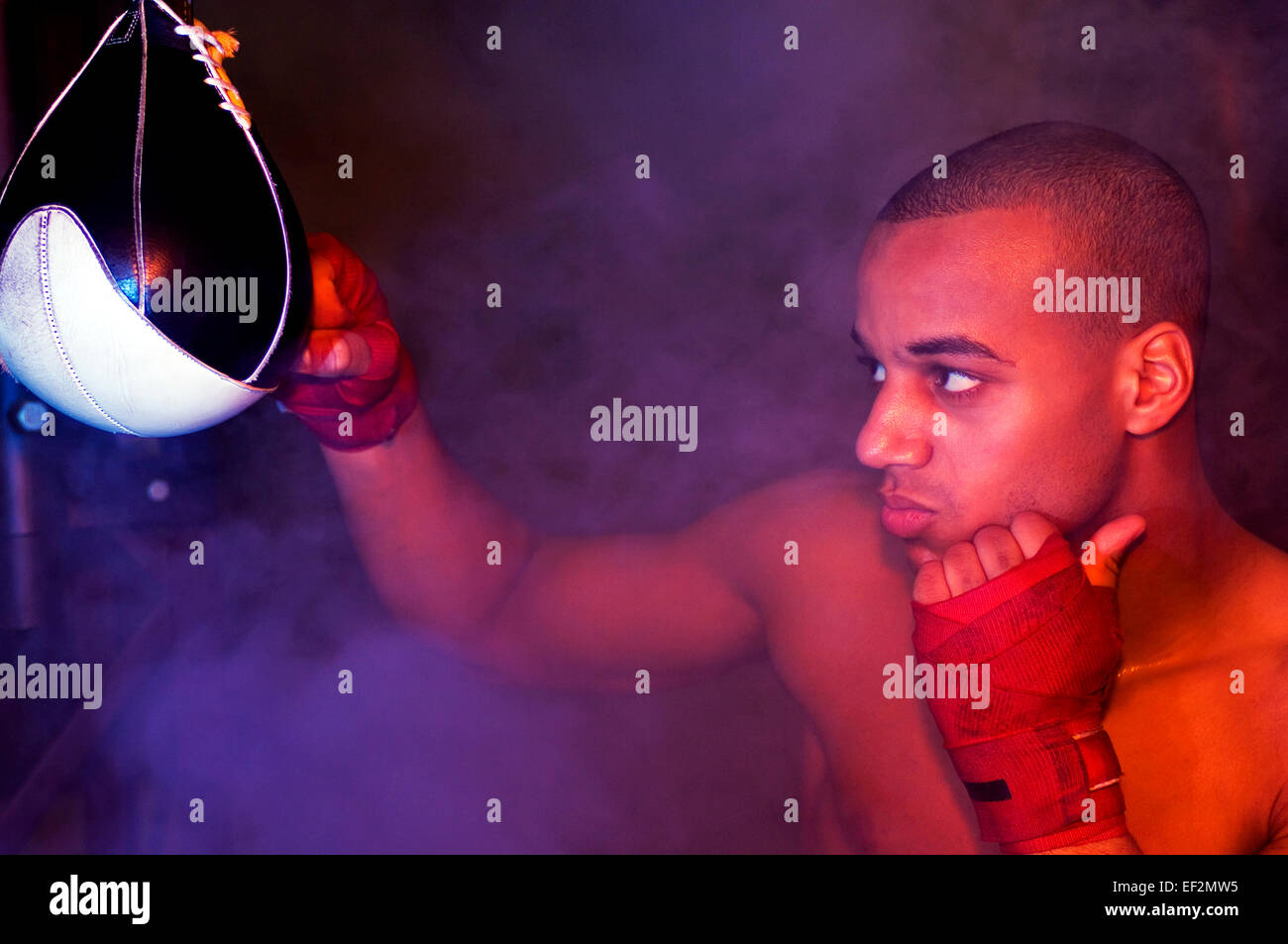 Boxer in gym using speed hi-res stock photography and images - Alamy