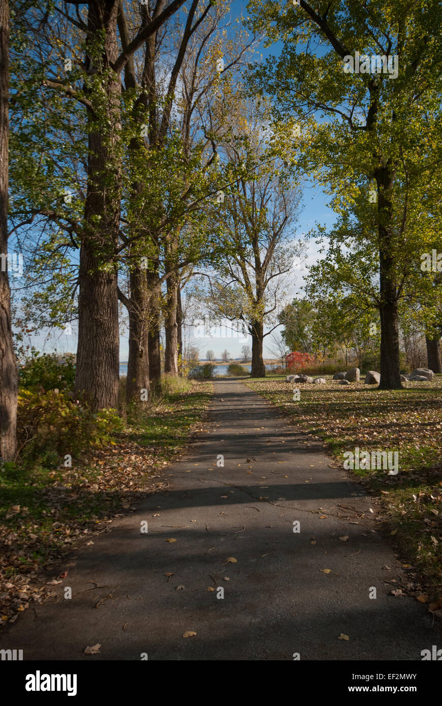 walking path in a park Stock Photo - Alamy