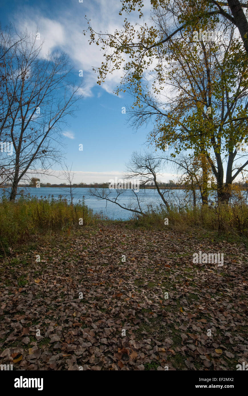 Water and trees in autumn Stock Photo - Alamy