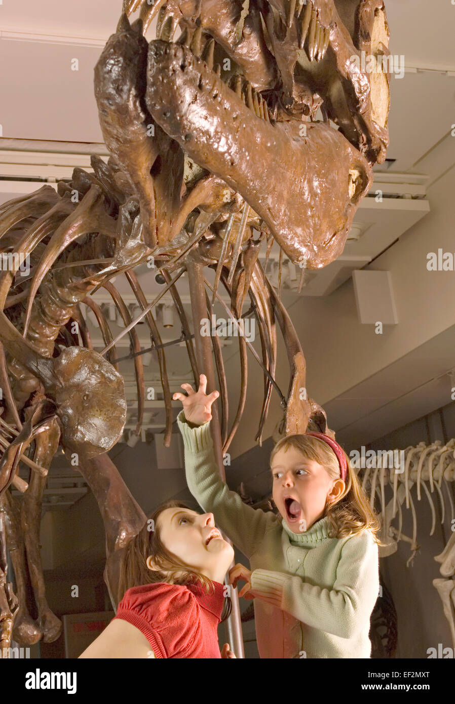 Teacher and student in museum by dinosaur fossil display Stock Photo ...
