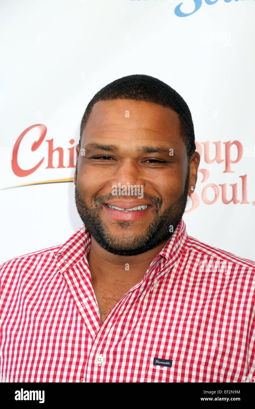 Anthony Anderson joins Chicken Soup For The Soul to celebrate its ...