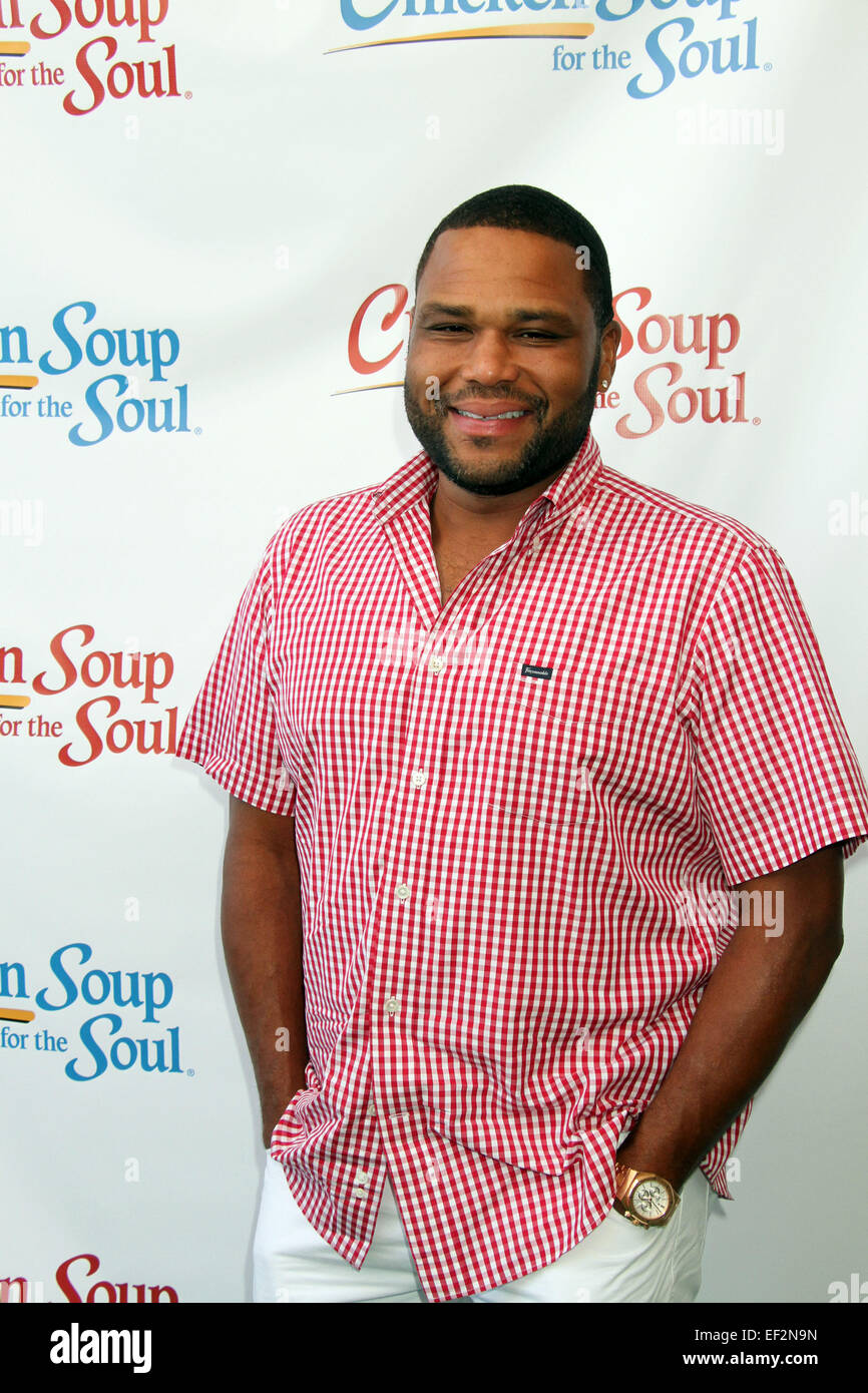 Anthony Anderson joins Chicken Soup For The Soul to celebrate its ...