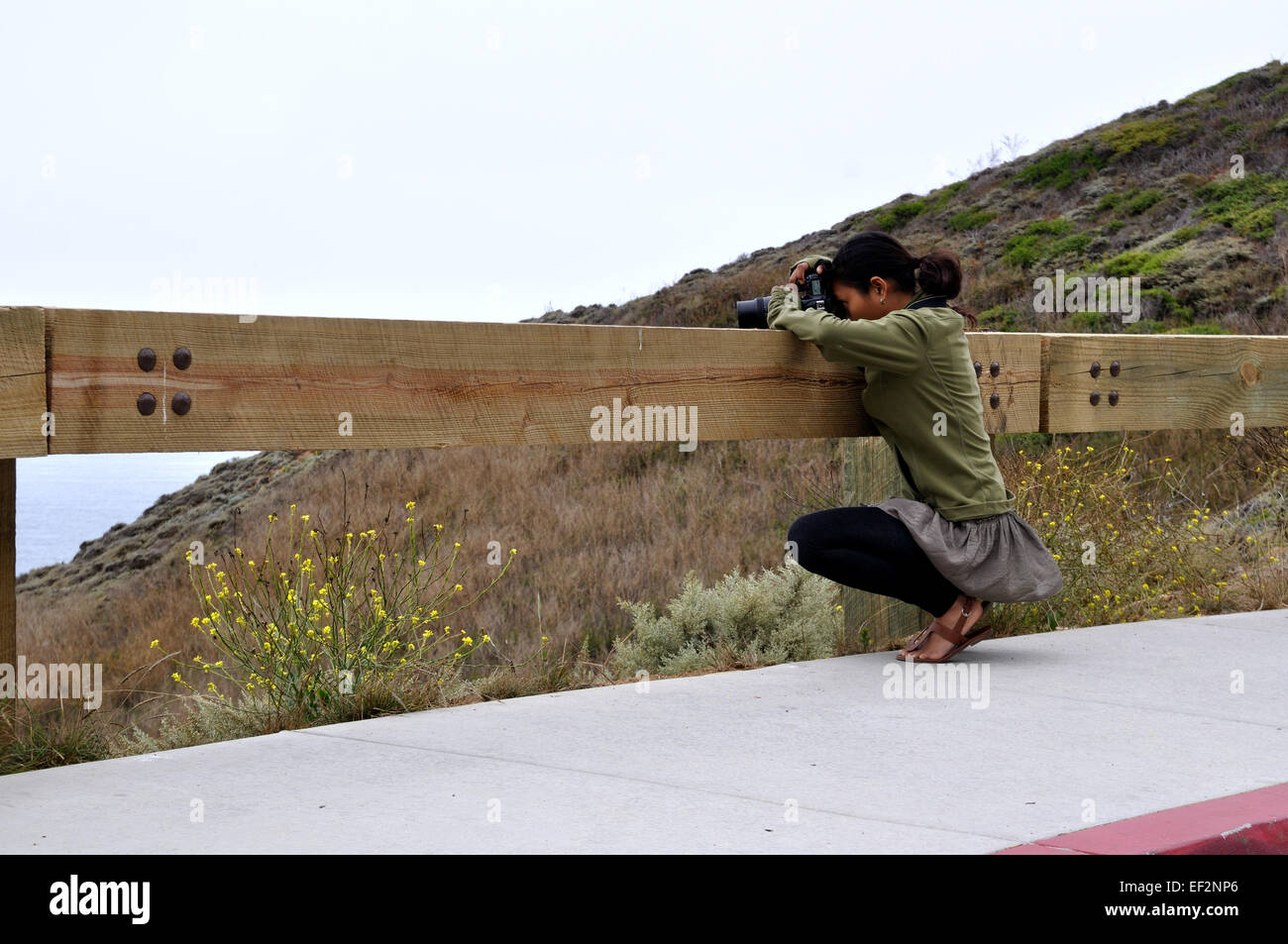 Asian tourist enjoying California Stock Photo - Alamy